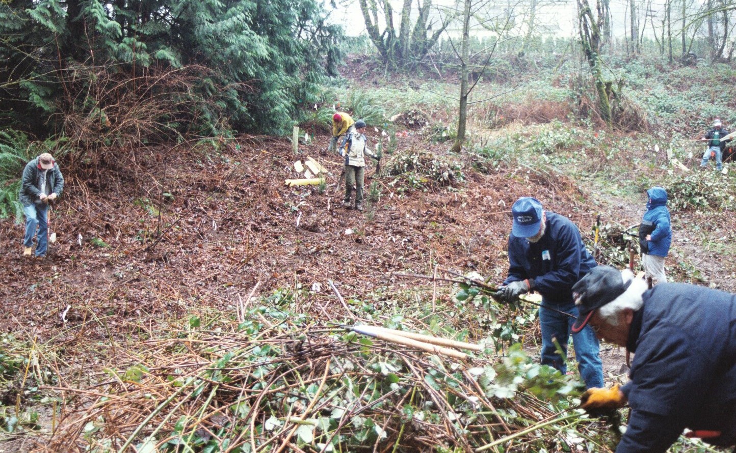 Streamside Restoration • Johnson Creek Watershed Council