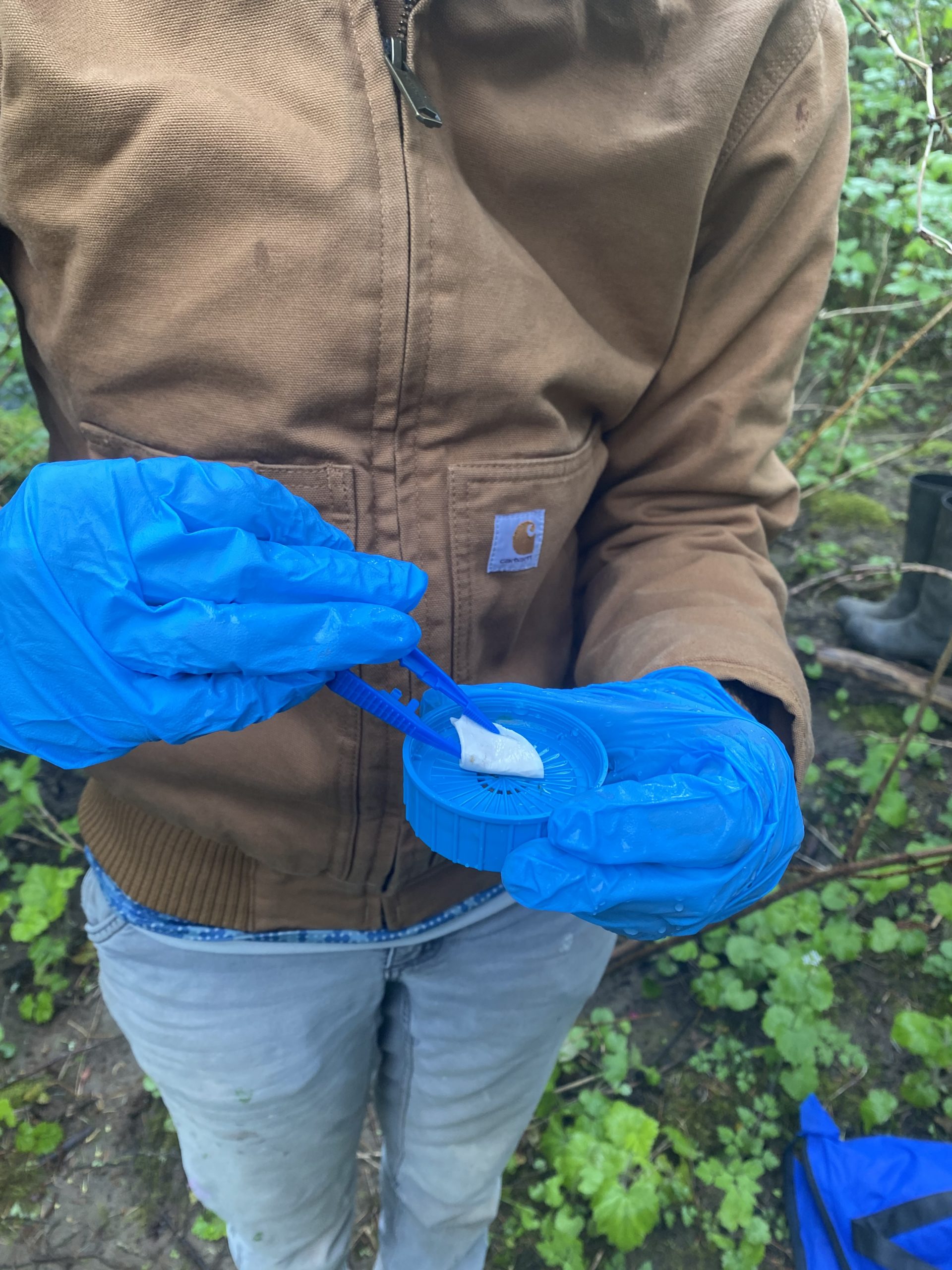 Behind the Scenes: eDNA Collection • Johnson Creek Watershed Council