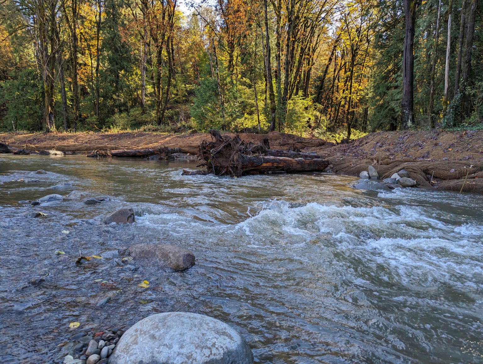 City of Portland Bureau of Environmental Services Restores Another 1000 ...