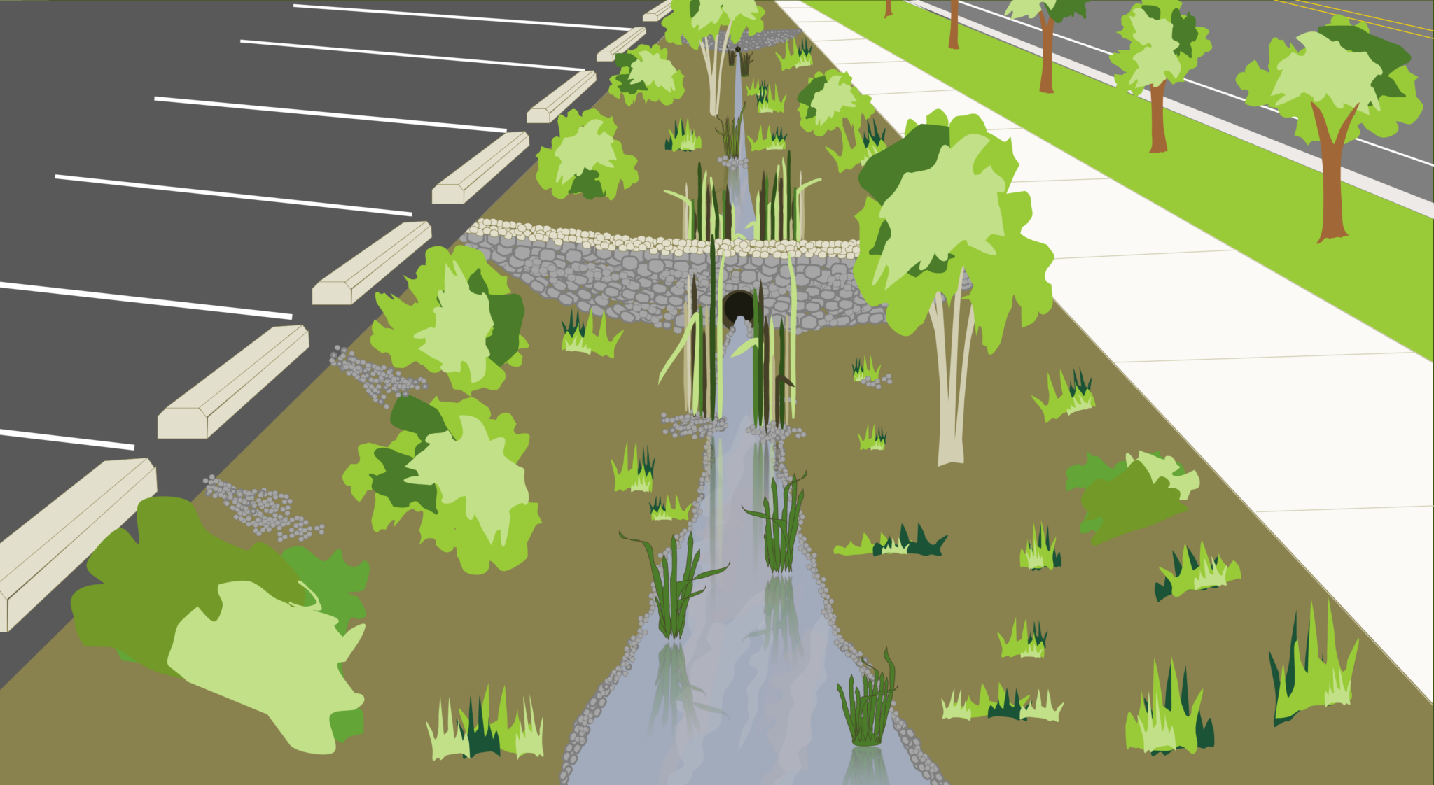 Upland Restoration • Johnson Creek Watershed Council